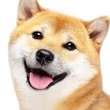 モニター | BIOTOPIAコミュニティ（ビオトピアコミュニティ）